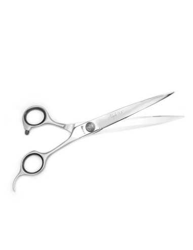 Record Aleph curved shear